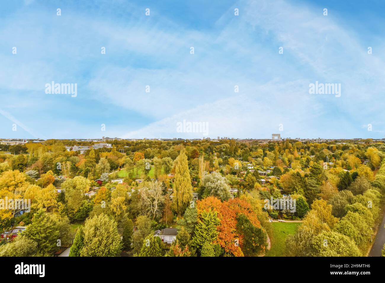 Lawn with many trees hi-res stock photography and images - Alamy