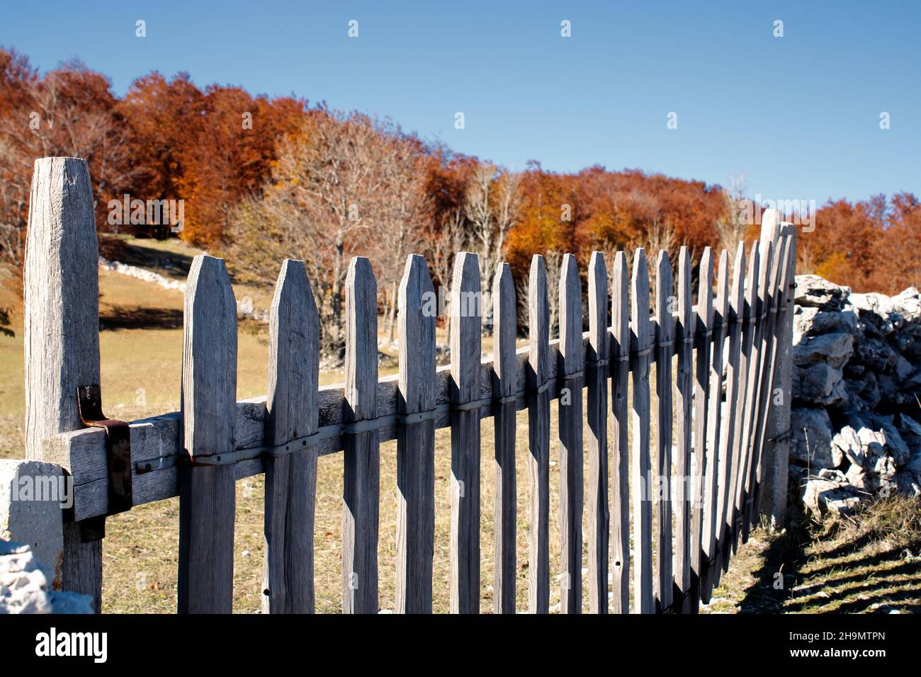 Scenic shot of a fence that goes through the meadow surrounded by trees ...