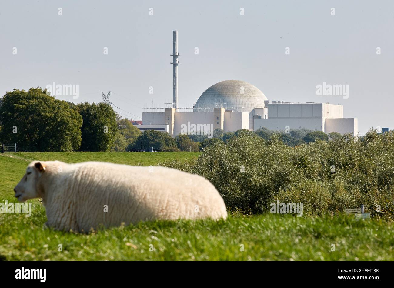 Brokdorf, Germany. 09th Sep, 2021. A sheep lies on a green dike in ...