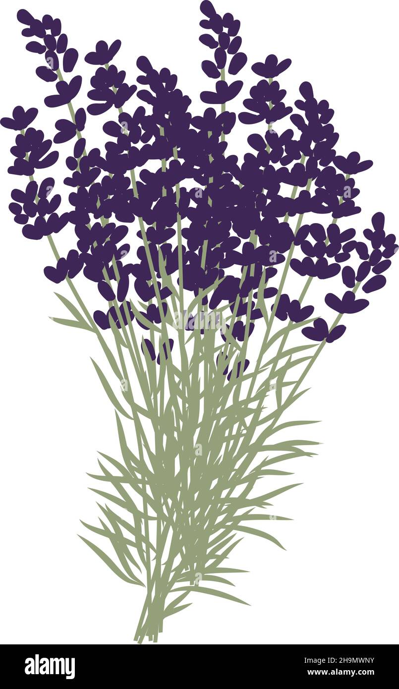 Wallpaper lavender Cut Out Stock Images & Pictures - Alamy