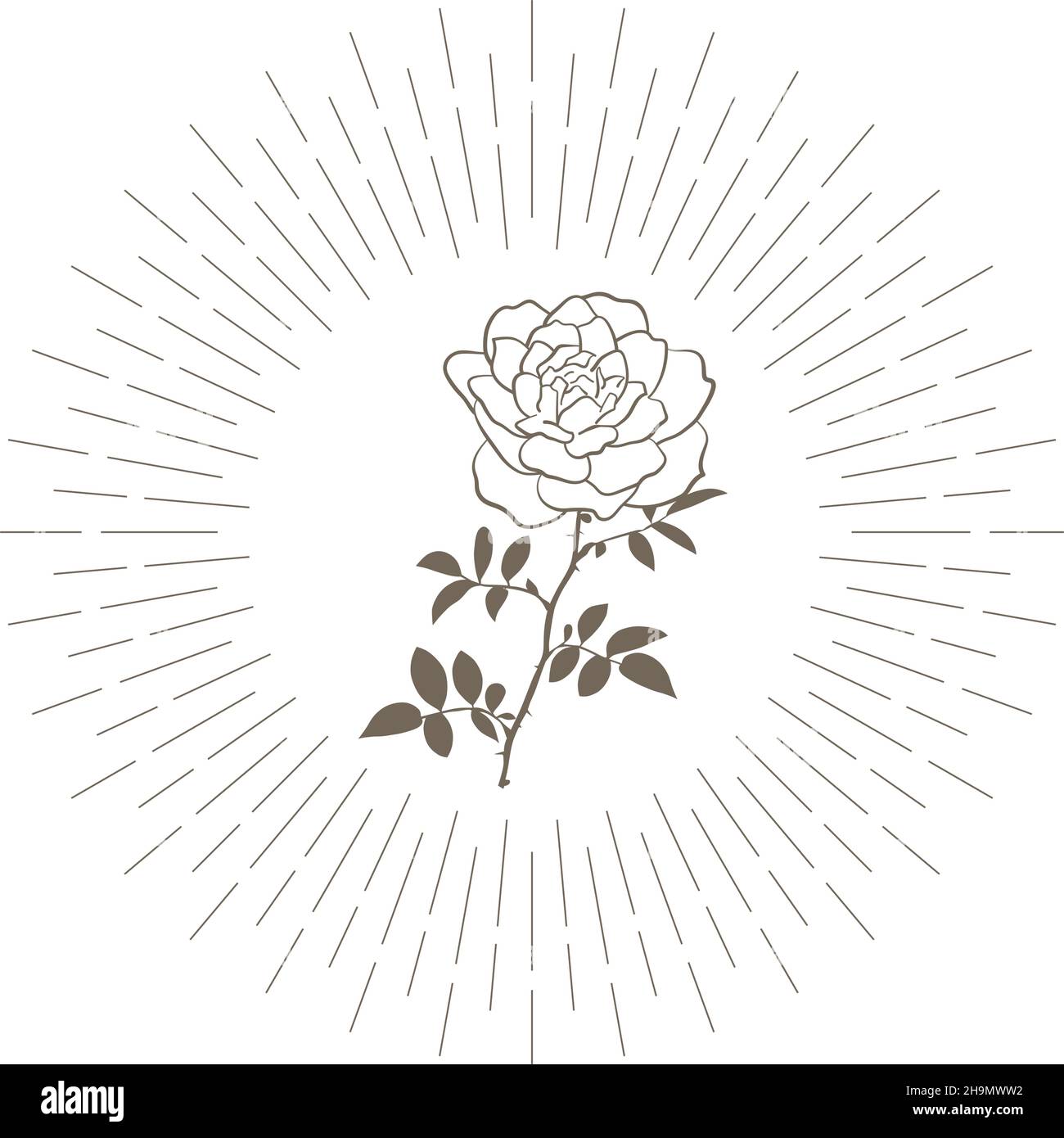 Circle of roses Stock Vector Images - Alamy