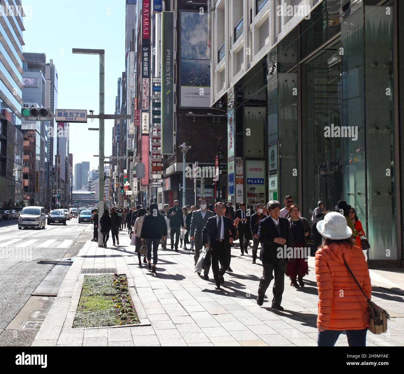 Chuo-dori Ave in the heart of Ginza, Tokyo with tall buildings, luxury ...