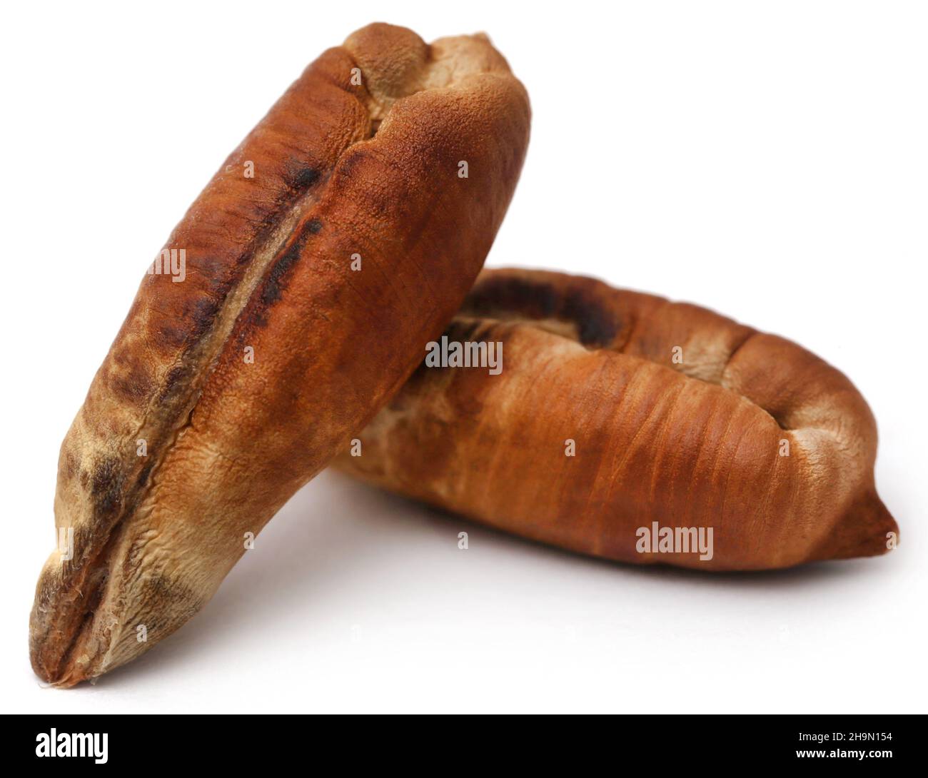 Arabian plant hi-res stock photography and images - Alamy