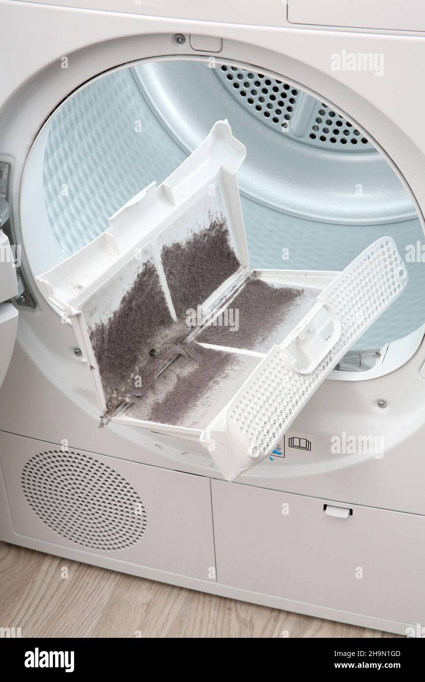Dirty filter from clothes dryer Stock Photo - Alamy