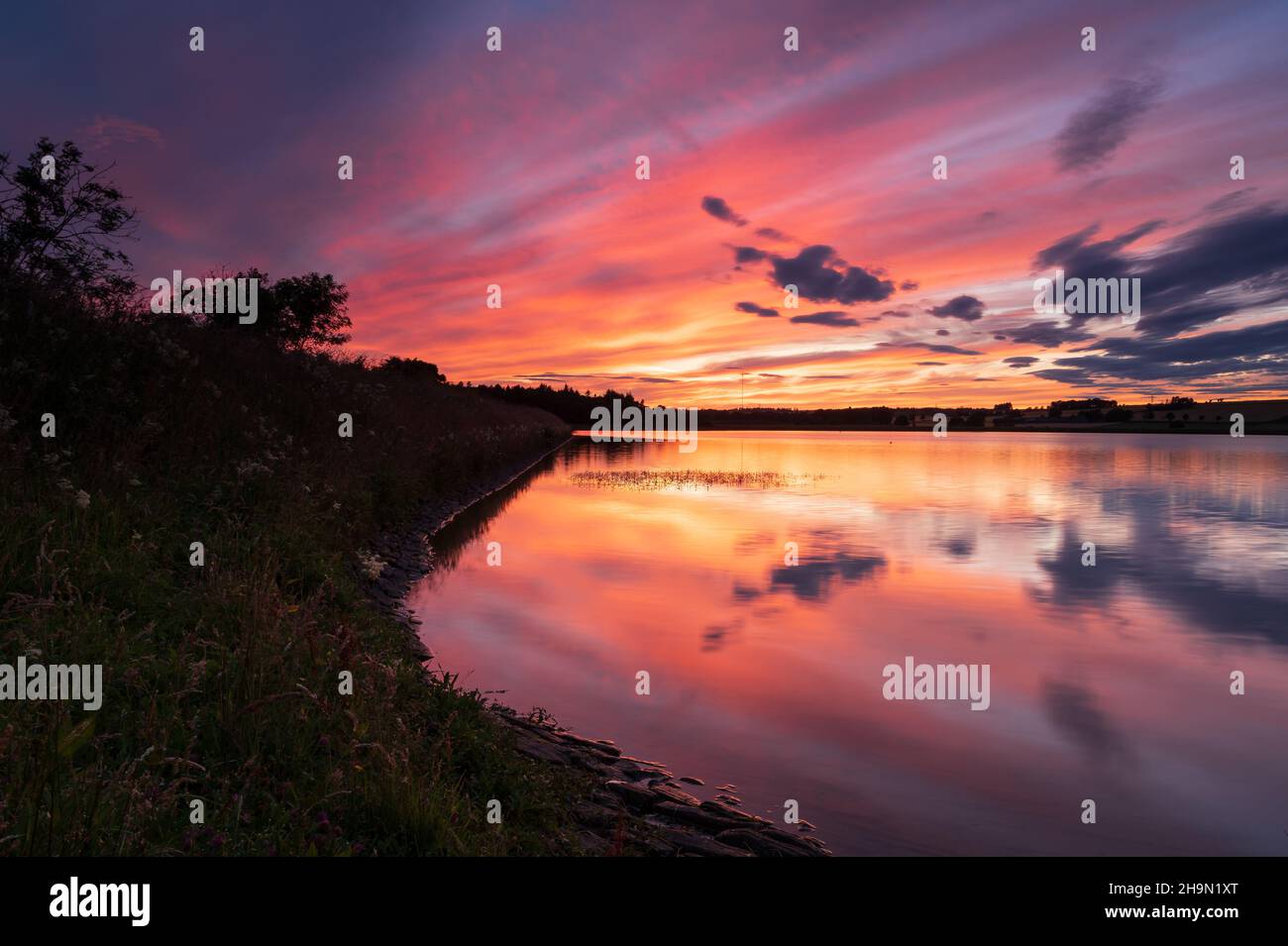 Monikie country park hi-res stock photography and images - Alamy