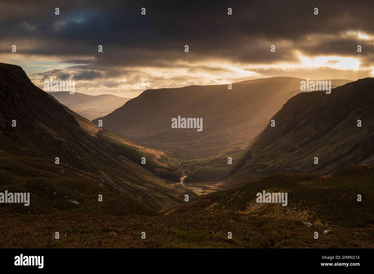 Glen Clova Hills Stock Photo - Alamy