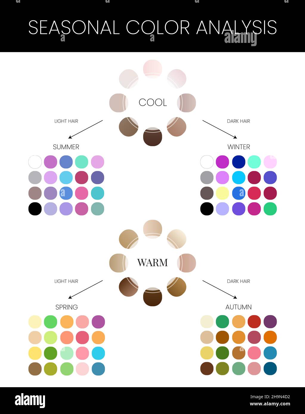 Seasonal Skin Color Analysis Chart With Summer Winter Autumn And