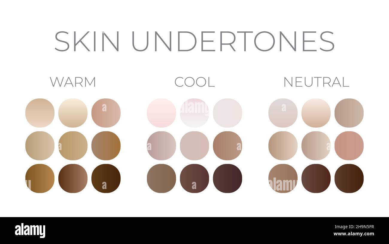 Skin Undertones Color Swatches Gradients Stock Vector Image & Art - Alamy