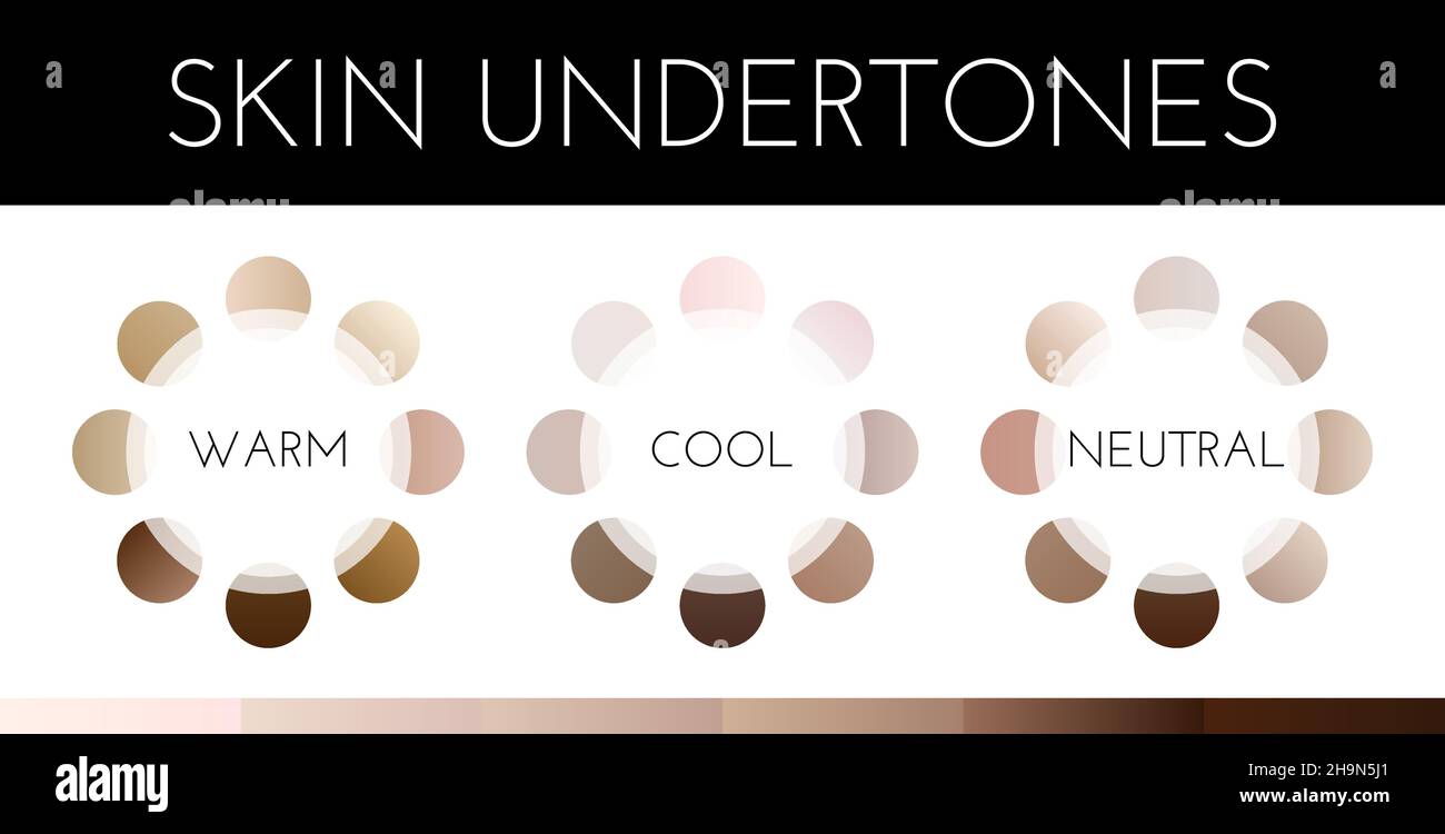 Gradient Skin Color Swatches Stock Vector Image & Art - Alamy