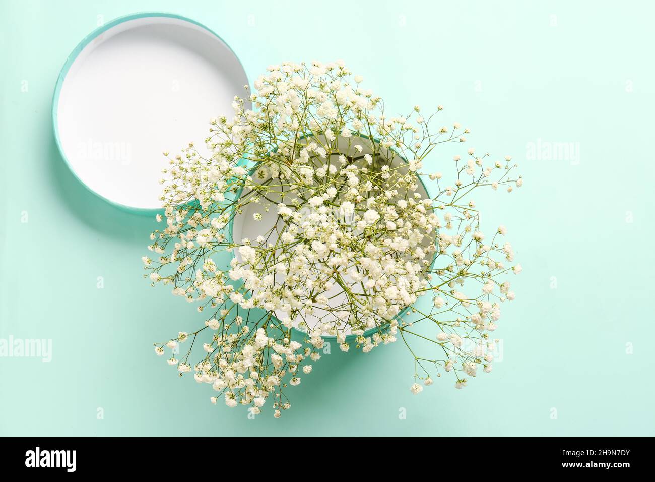 Box with beautiful gypsophila flowers on color background Stock Photo ...