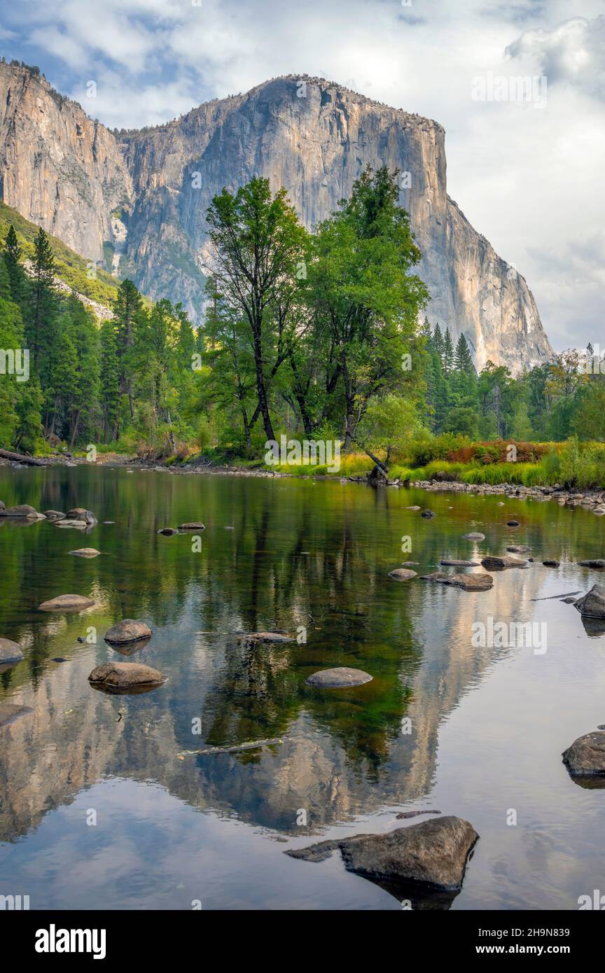 El Capitan with Reflection in the Merced River in Yosemite National ...