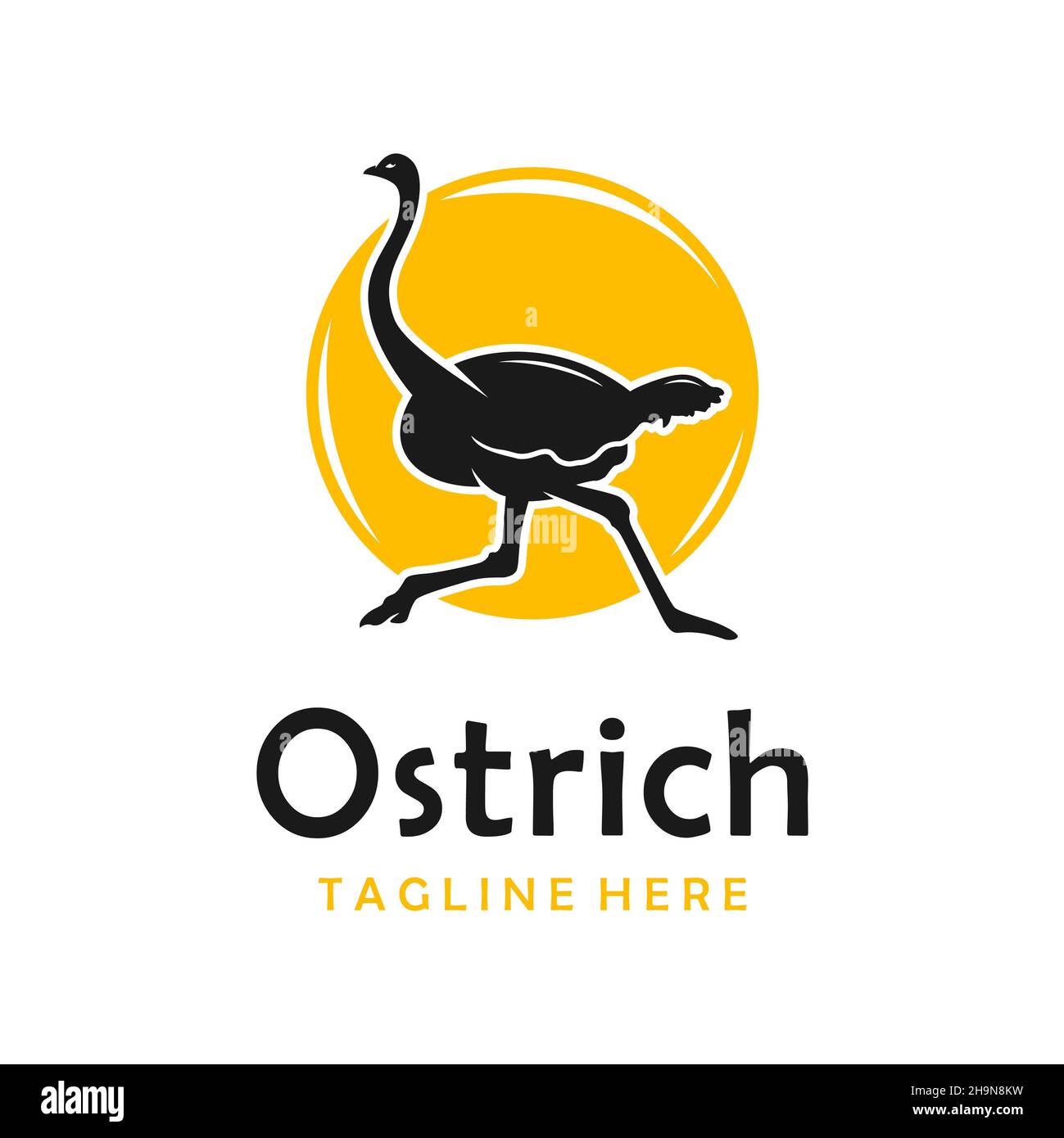 Ostrich farm at sunset hi-res stock photography and images - Alamy