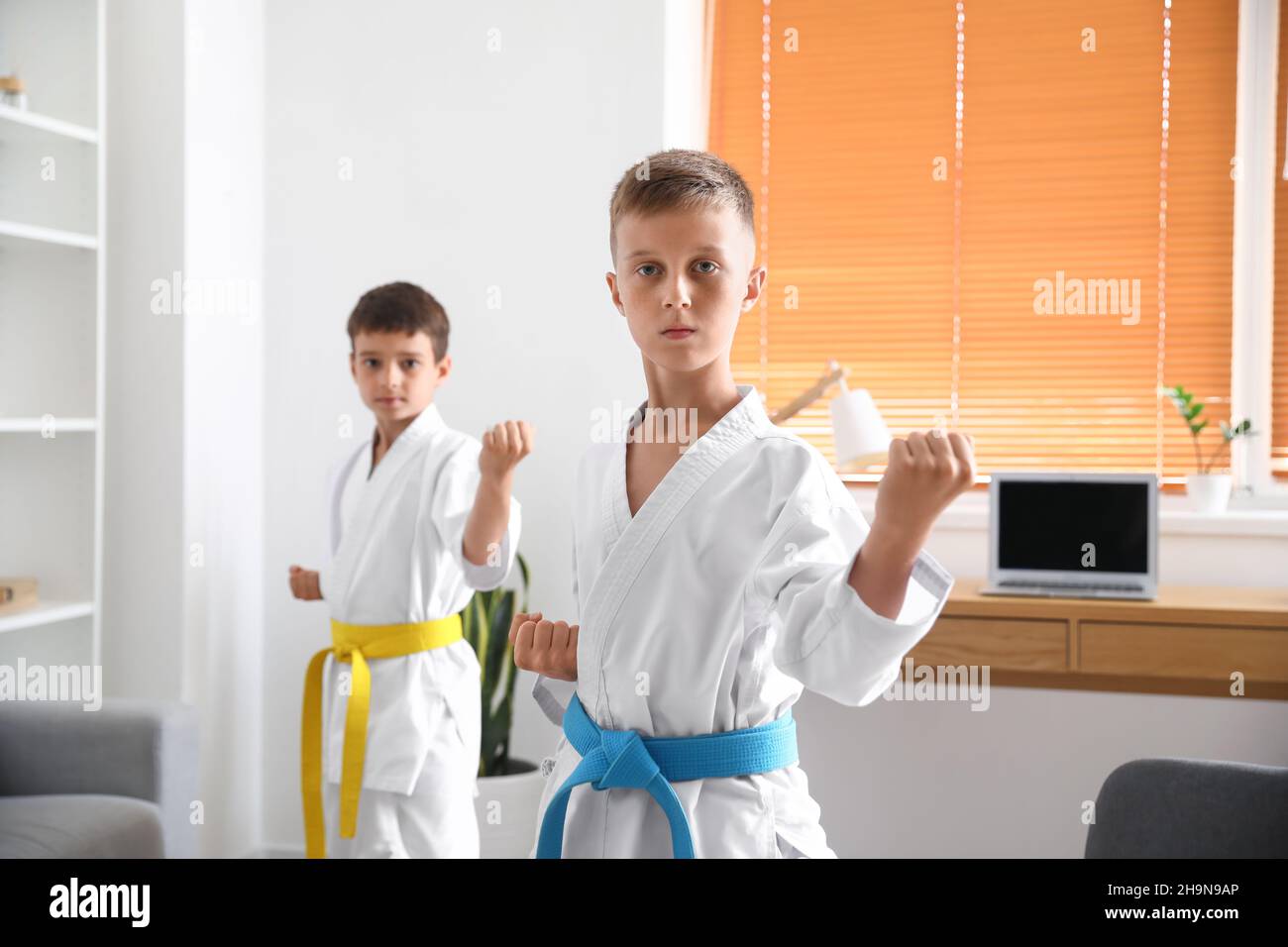 Little boys practicing karate at home Stock Photo - Alamy