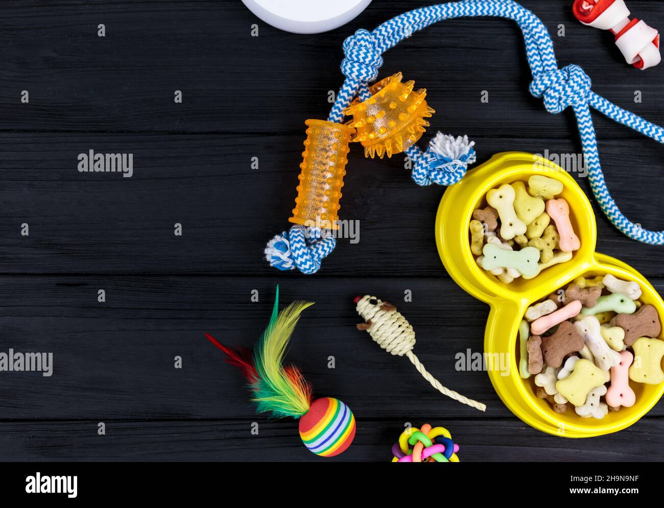 Play with the cat hi-res stock photography and images - Alamy