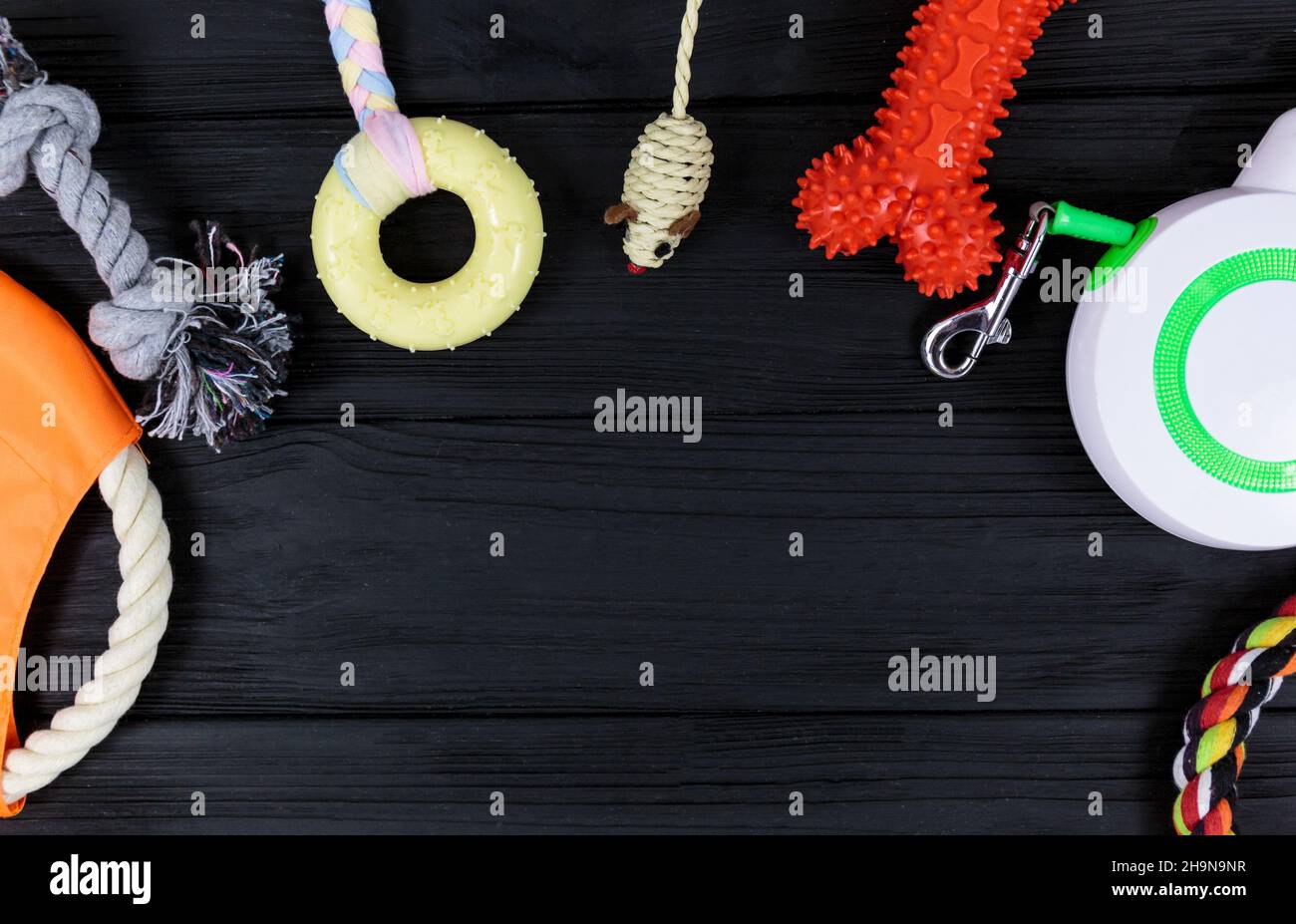 Dog eating toy bone hi-res stock photography and images - Alamy