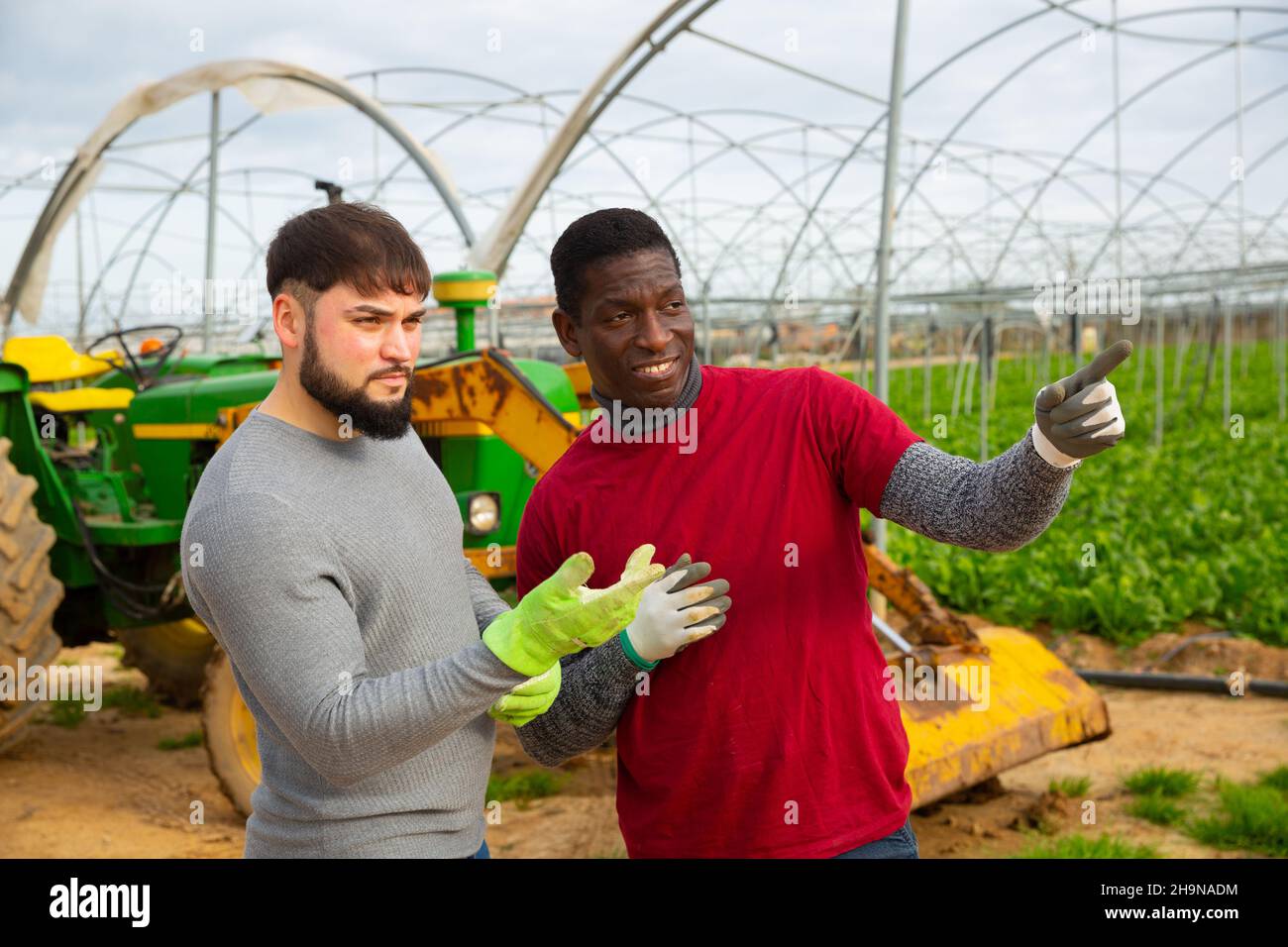 Two farmers talking Stock Photo - Alamy