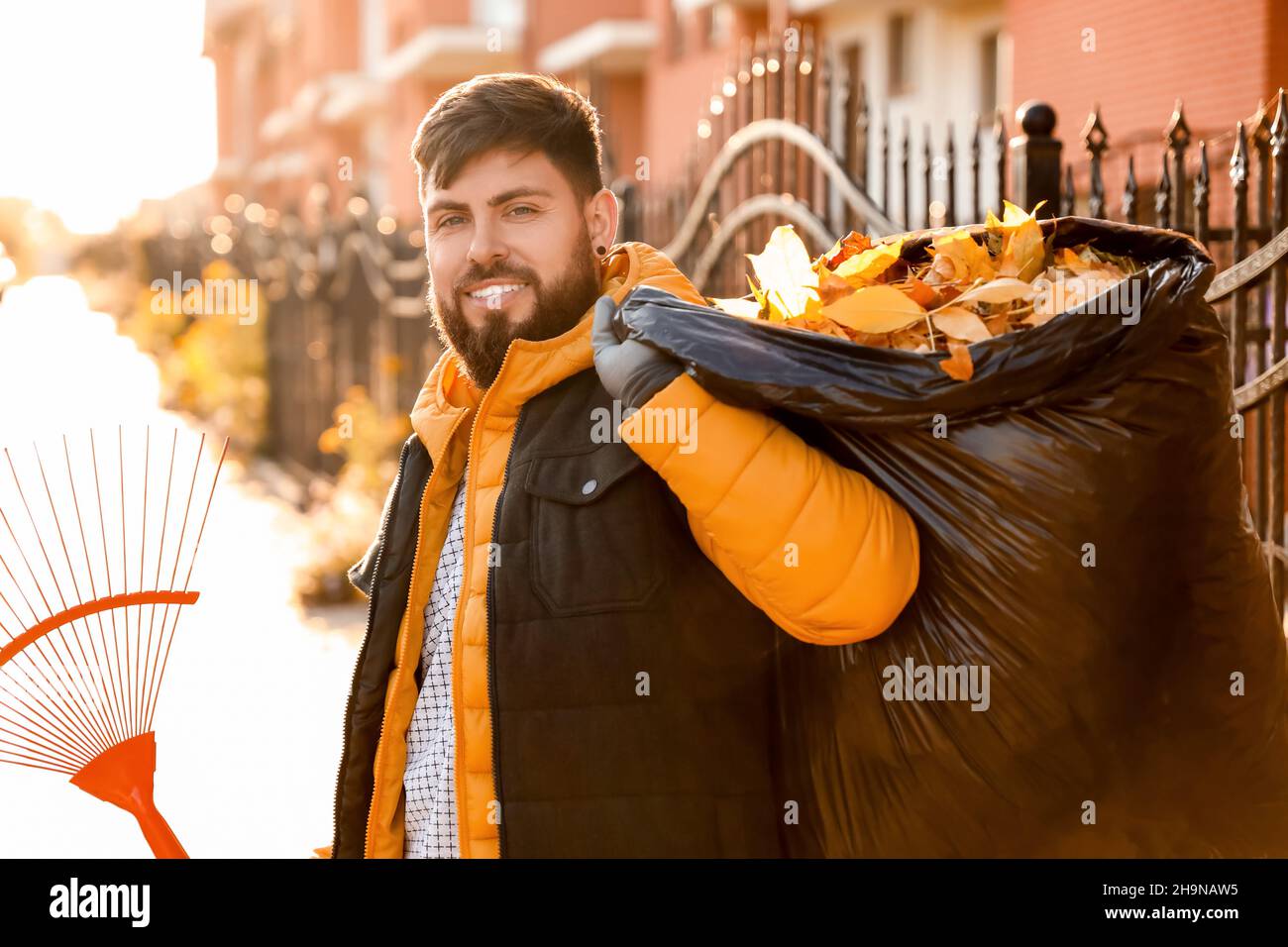 Man gathering autumn leaves outdoors Stock Photo - Alamy
