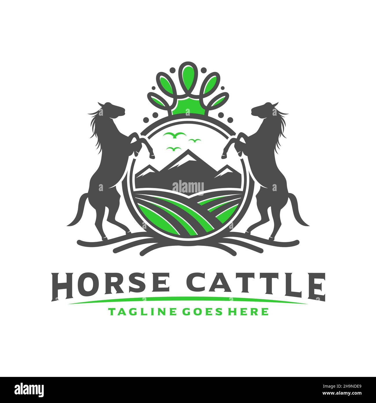 Cattle horse Cut Out Stock Images & Pictures - Alamy