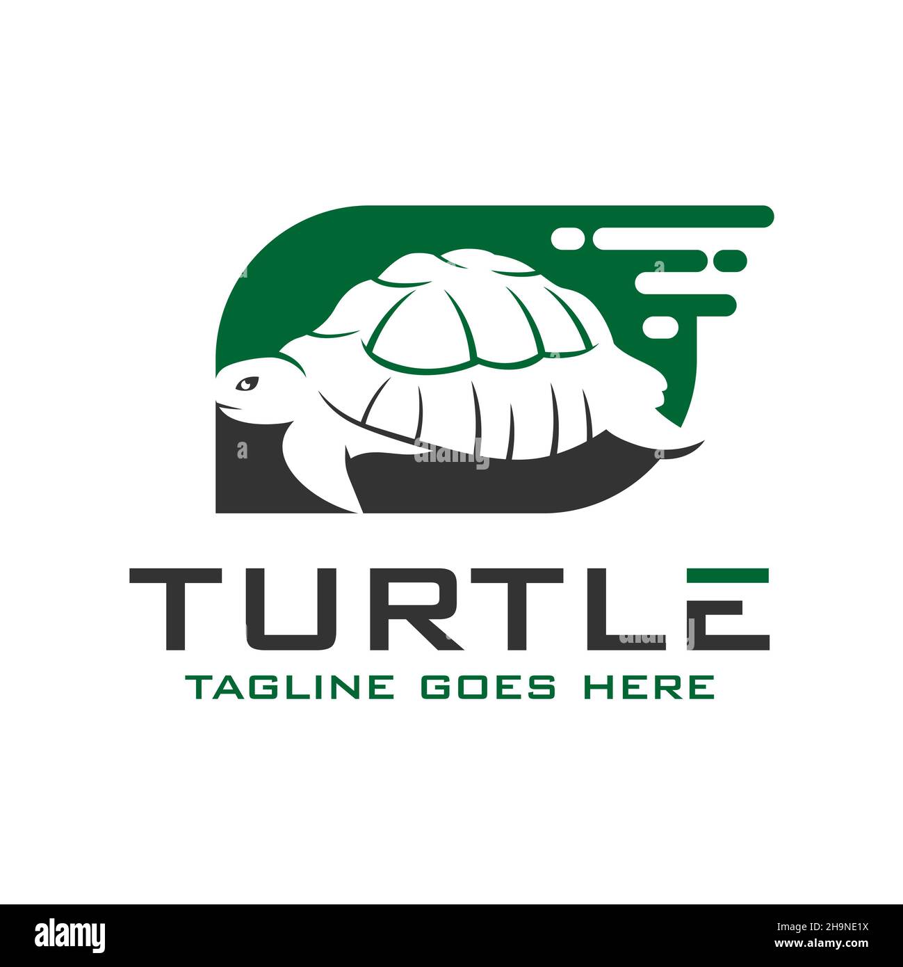 turtle logo design template Stock Photo - Alamy