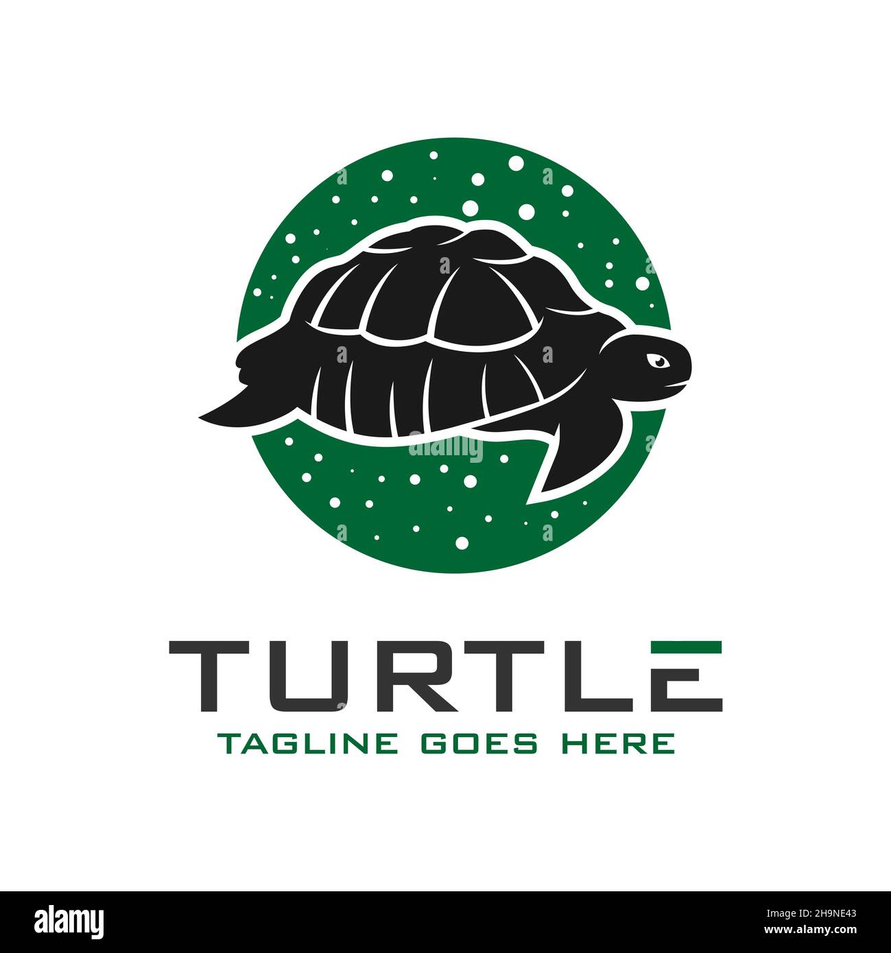 circle turtle logo design template Stock Photo - Alamy