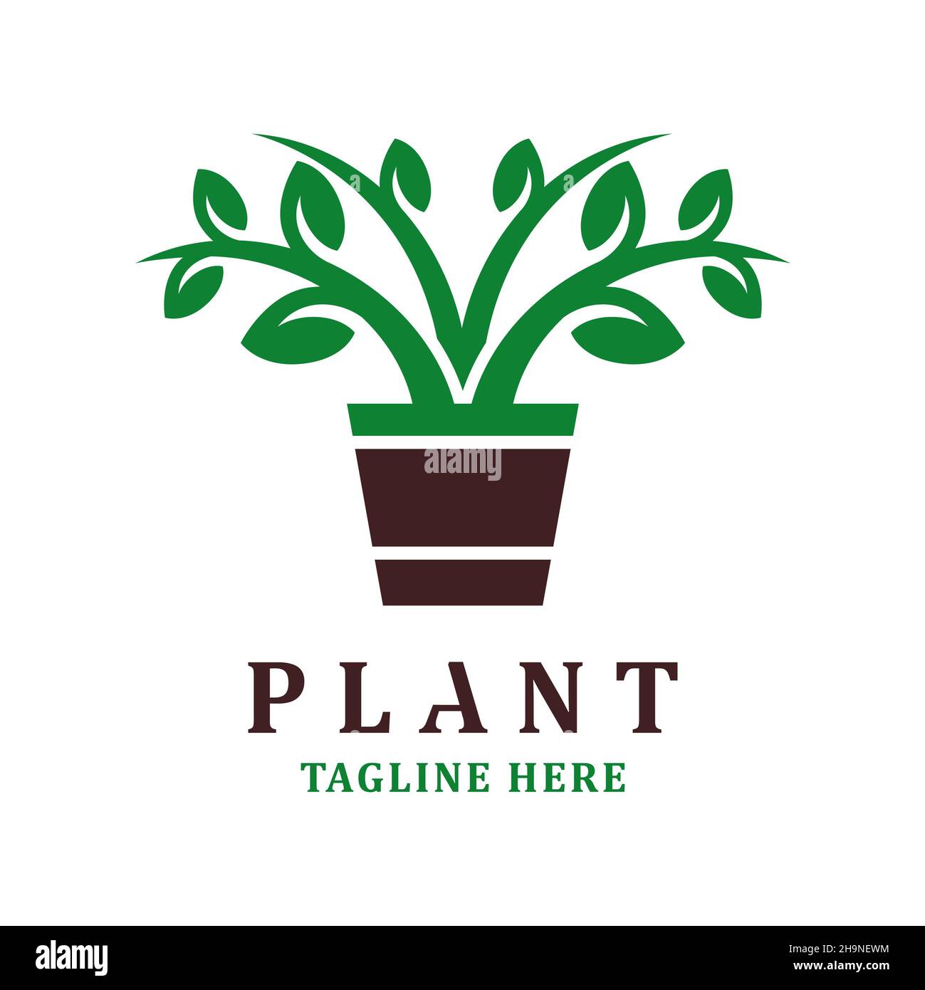 Oak tree logo branding hi-res stock photography and images - Alamy