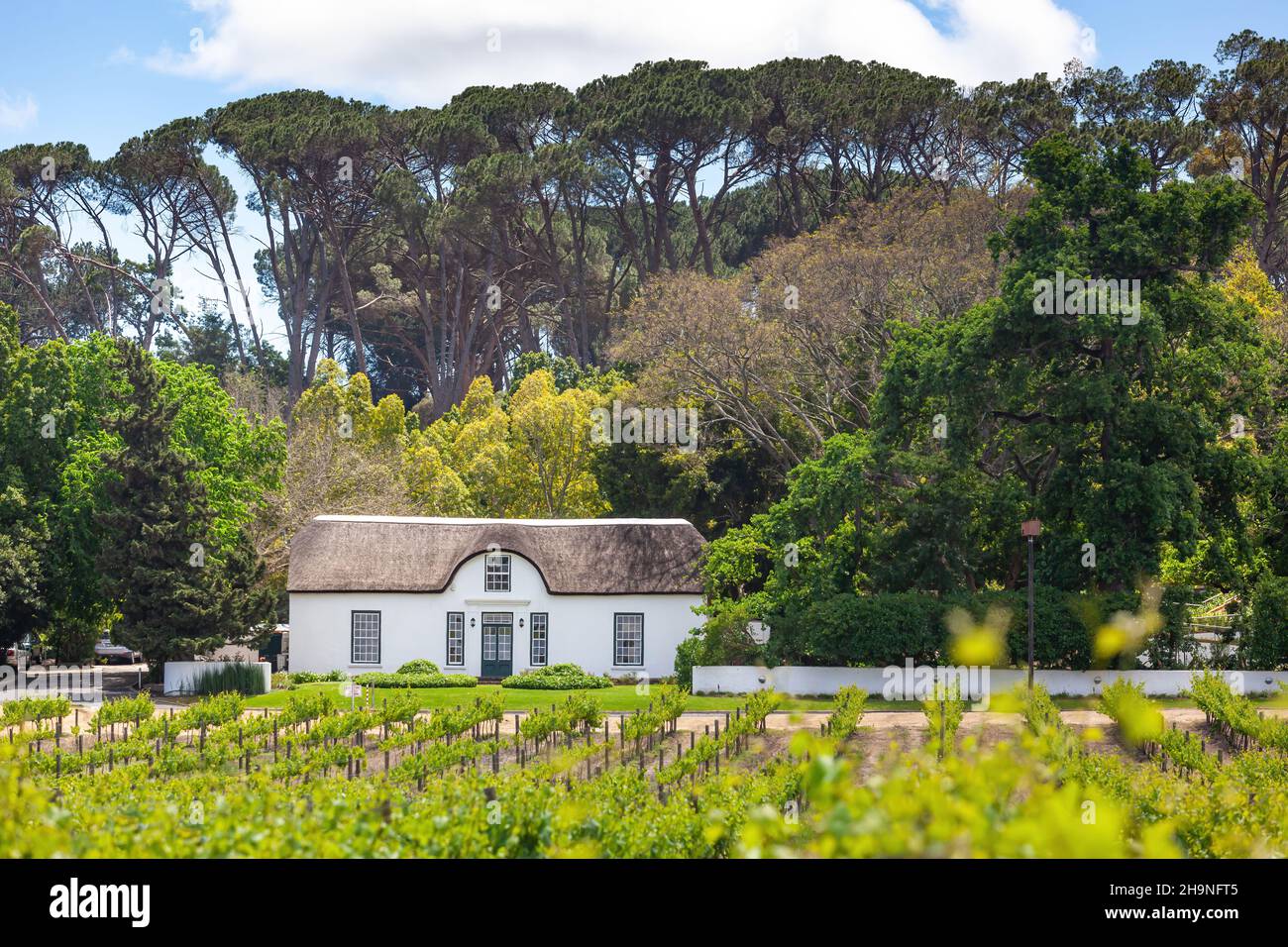 The Oude Libertas vineyard and Cape Dutch homestead in Stellenbosch in ...