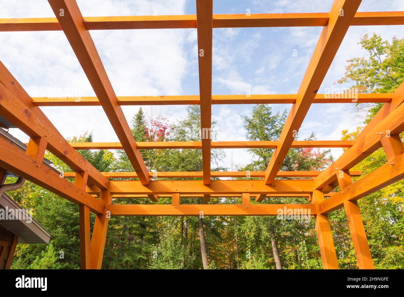 Oiled Eastern white pine timber frame pergola in backyard Stock Photo ...