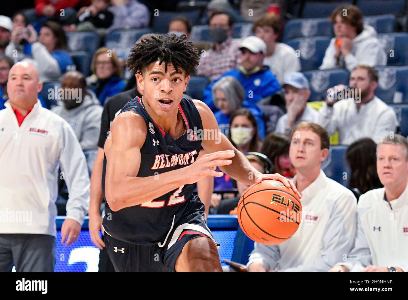 Belmont bruins hi-res stock photography and images - Alamy