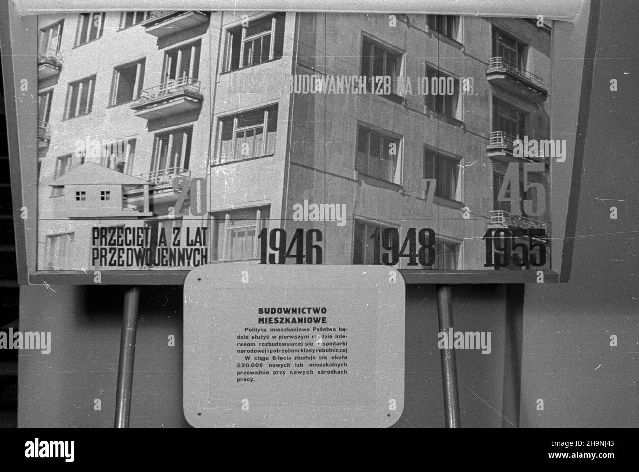 Tadeusz trepkowski hi-res stock photography and images - Alamy