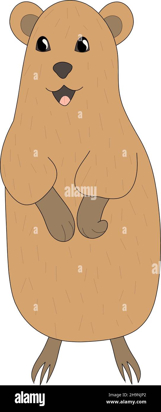 Hand drawn color vector illustration of a cartoon quokka standing and ...