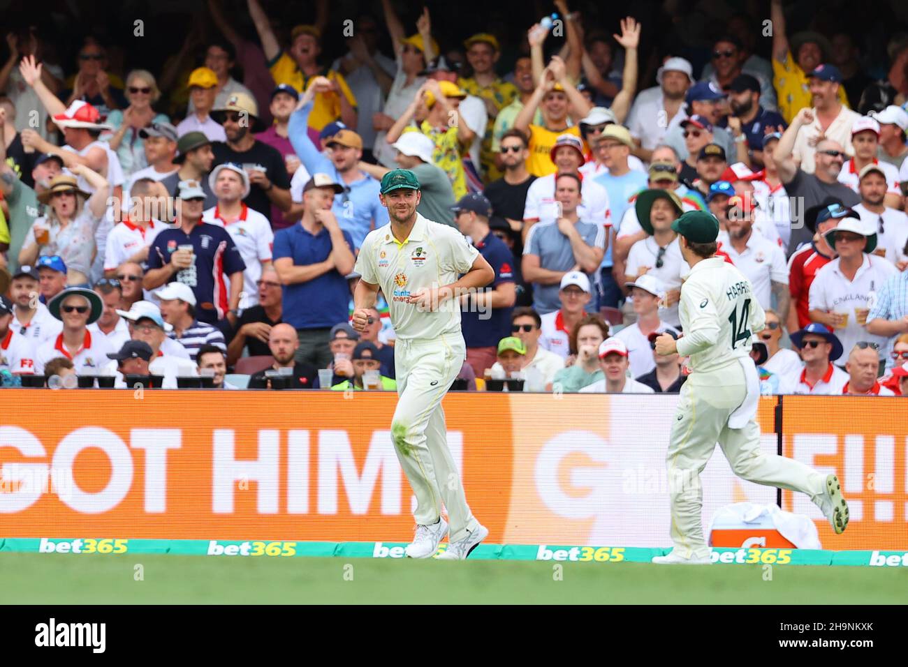 Cricket crowd catch hi-res stock photography and images - Alamy