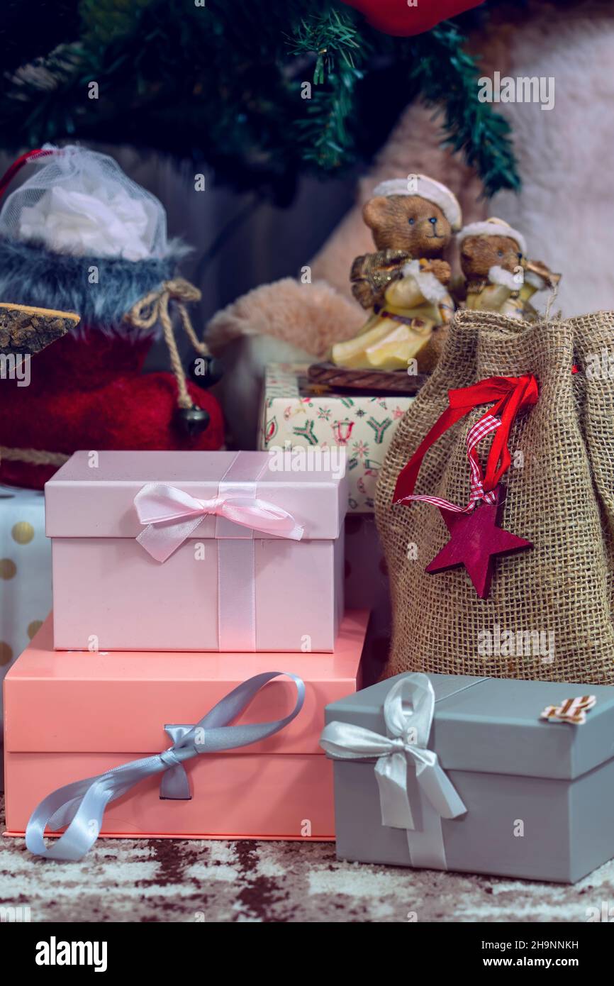 Bear under tree hi-res stock photography and images - Alamy