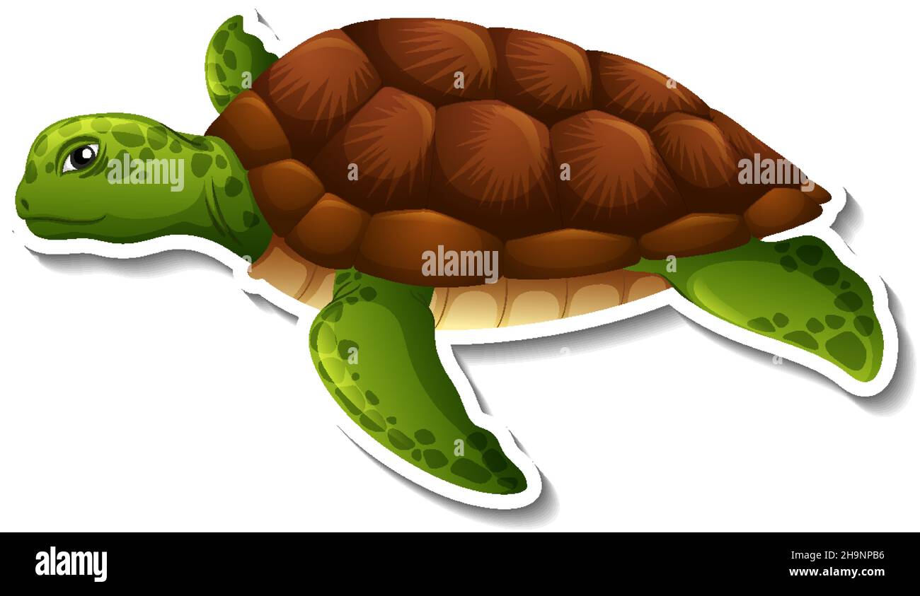 A turtle animal cartoon sticker illustration Stock Vector Image & Art ...