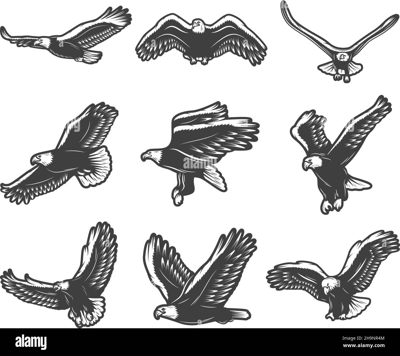 Vintage beautiful flying eagles set in different poses symbolising ...