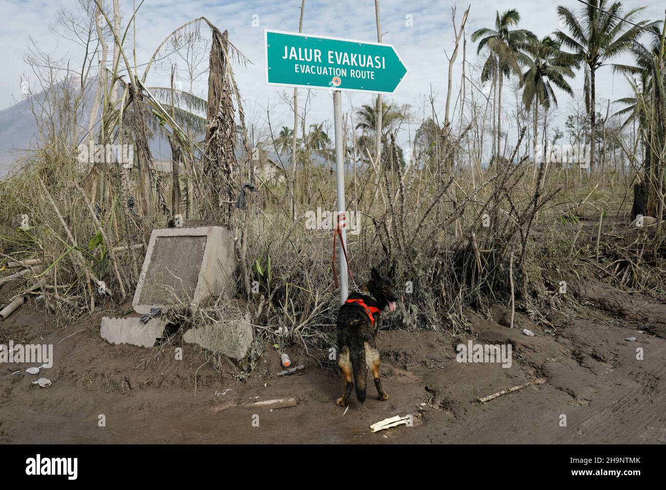 Volcano evacuation route hi-res stock photography and images - Alamy