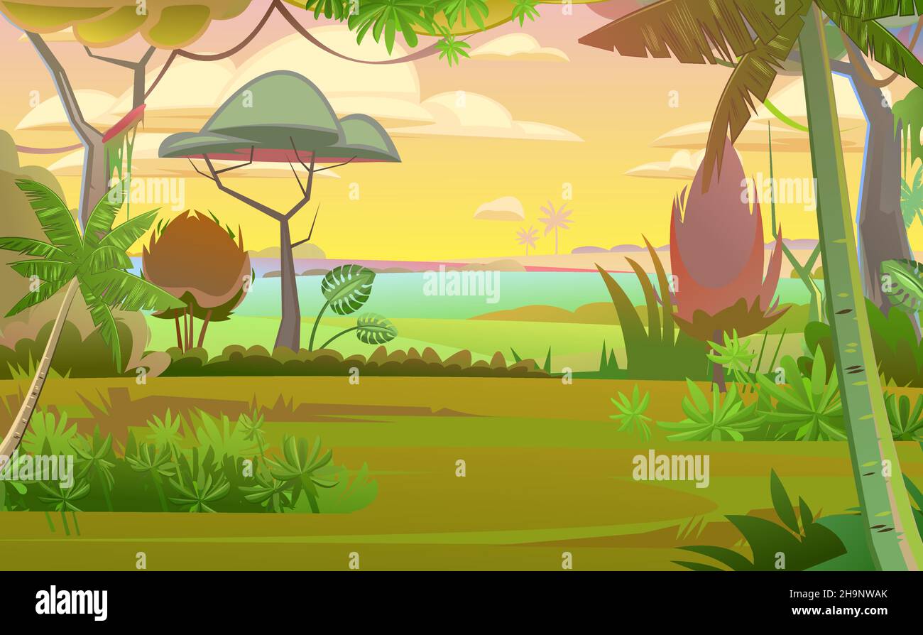 Rainforest trees. Morning sunrise dawn or evening sunset. Dense ...