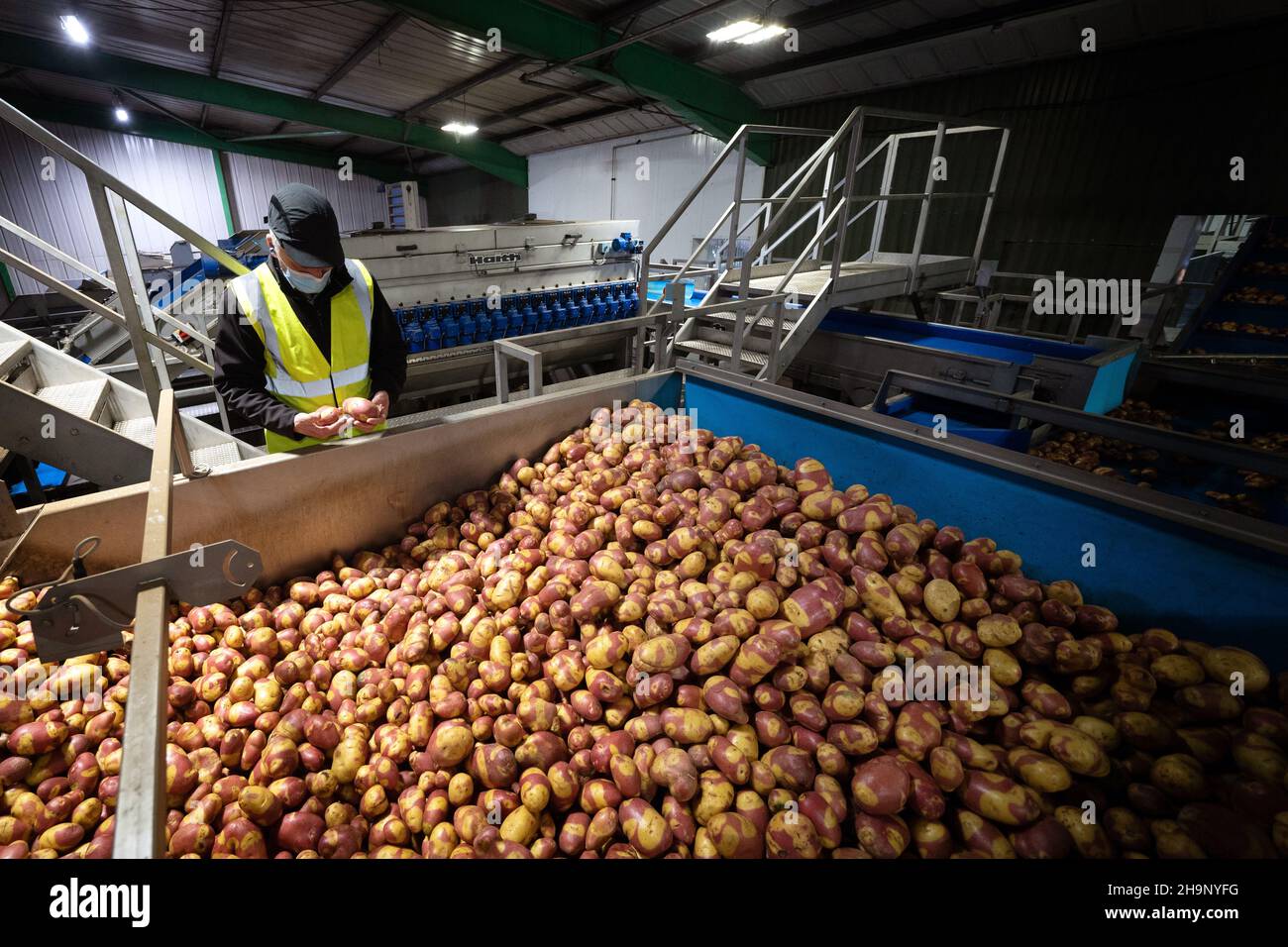 Agronomy director Dr David Nelson, known in the industry as Dr Potato ...