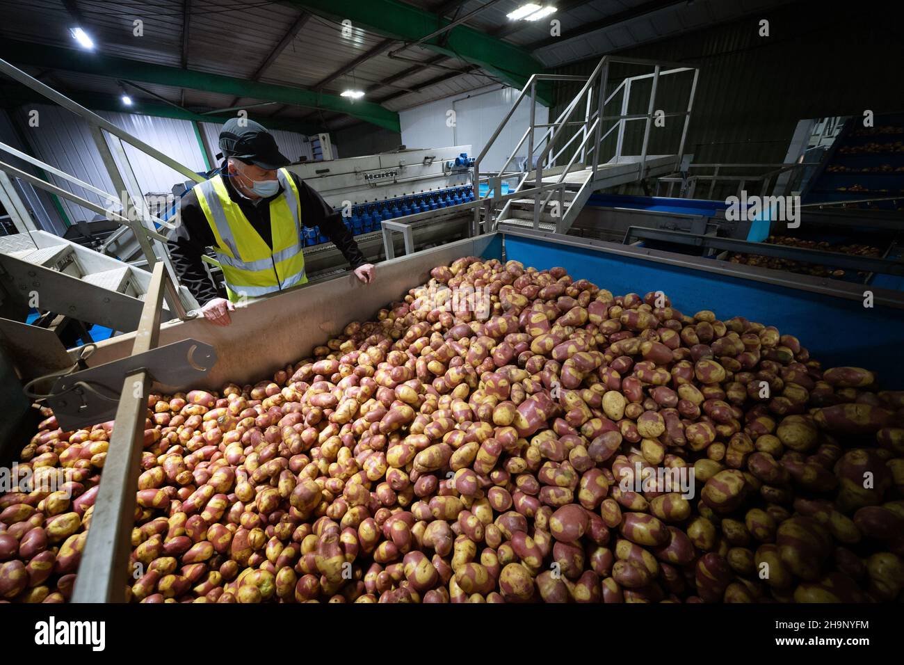 Agronomy director Dr David Nelson, known in the industry as Dr Potato ...
