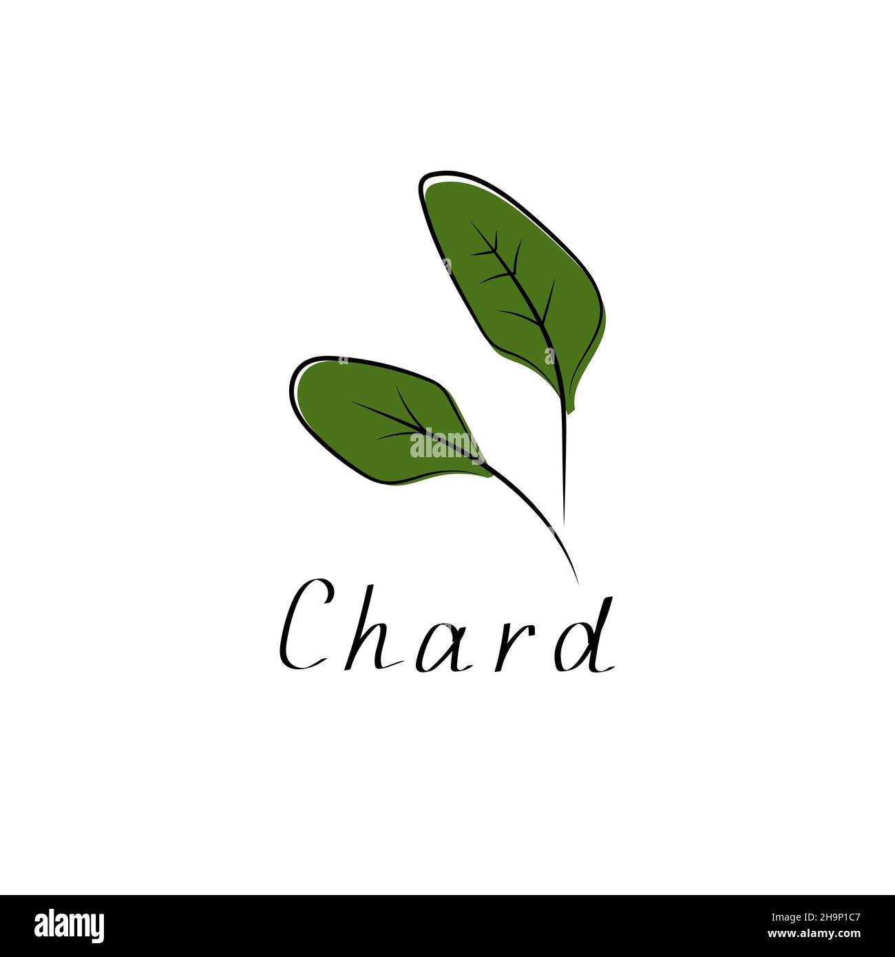 Chard salad plant icon. Herb vegetable sign. Flat vector illustration ...