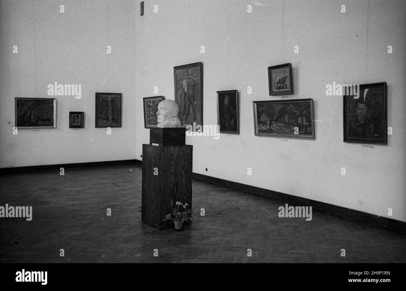 Hungarian visual hi-res stock photography and images - Alamy