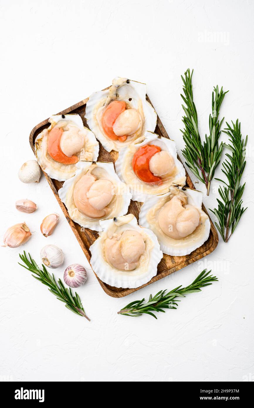 Fresh scallop set, on white stone table background, top view flat lay ...