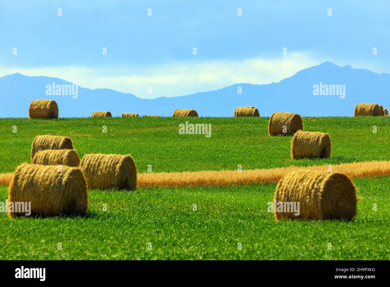 Nestled between the Rocky Mountains and the Canadian prairie, in the ...