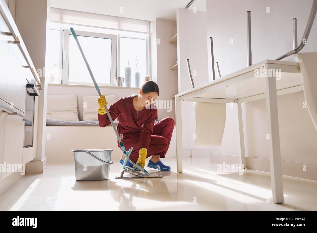 Concentrated professional cleaner adjusting manual cleaning equipment ...