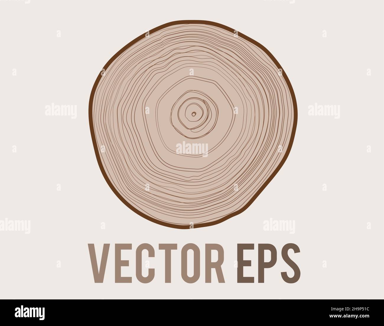 Tree ring texture hi-res stock photography and images - Alamy