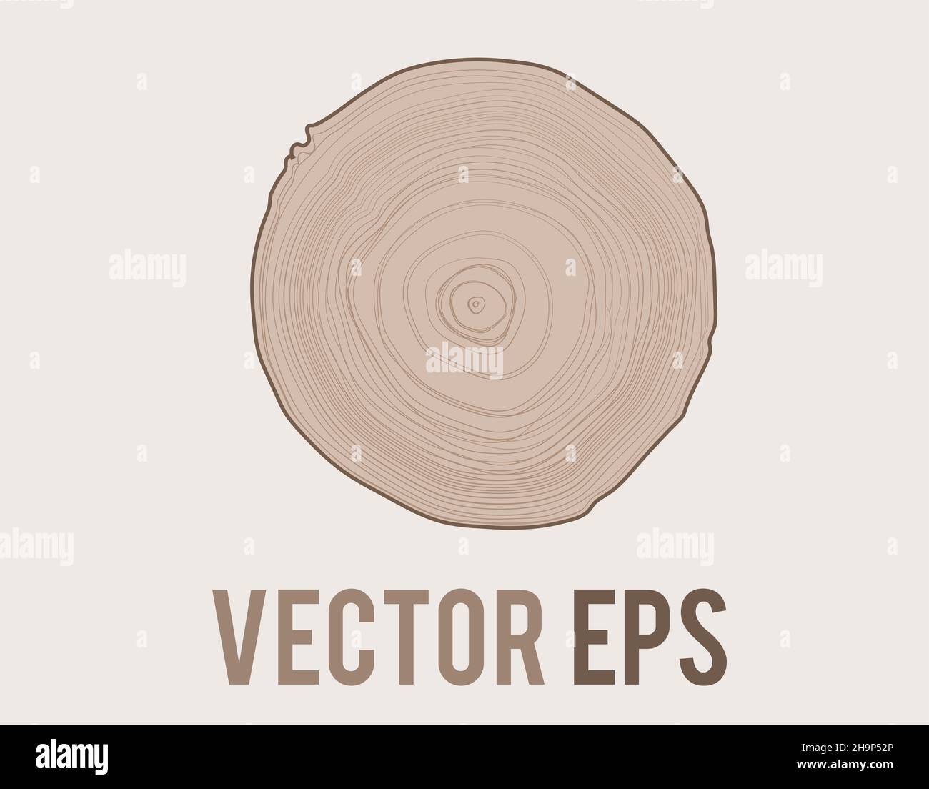 The isolated vector tree with woodgrain ring natural texture from top ...