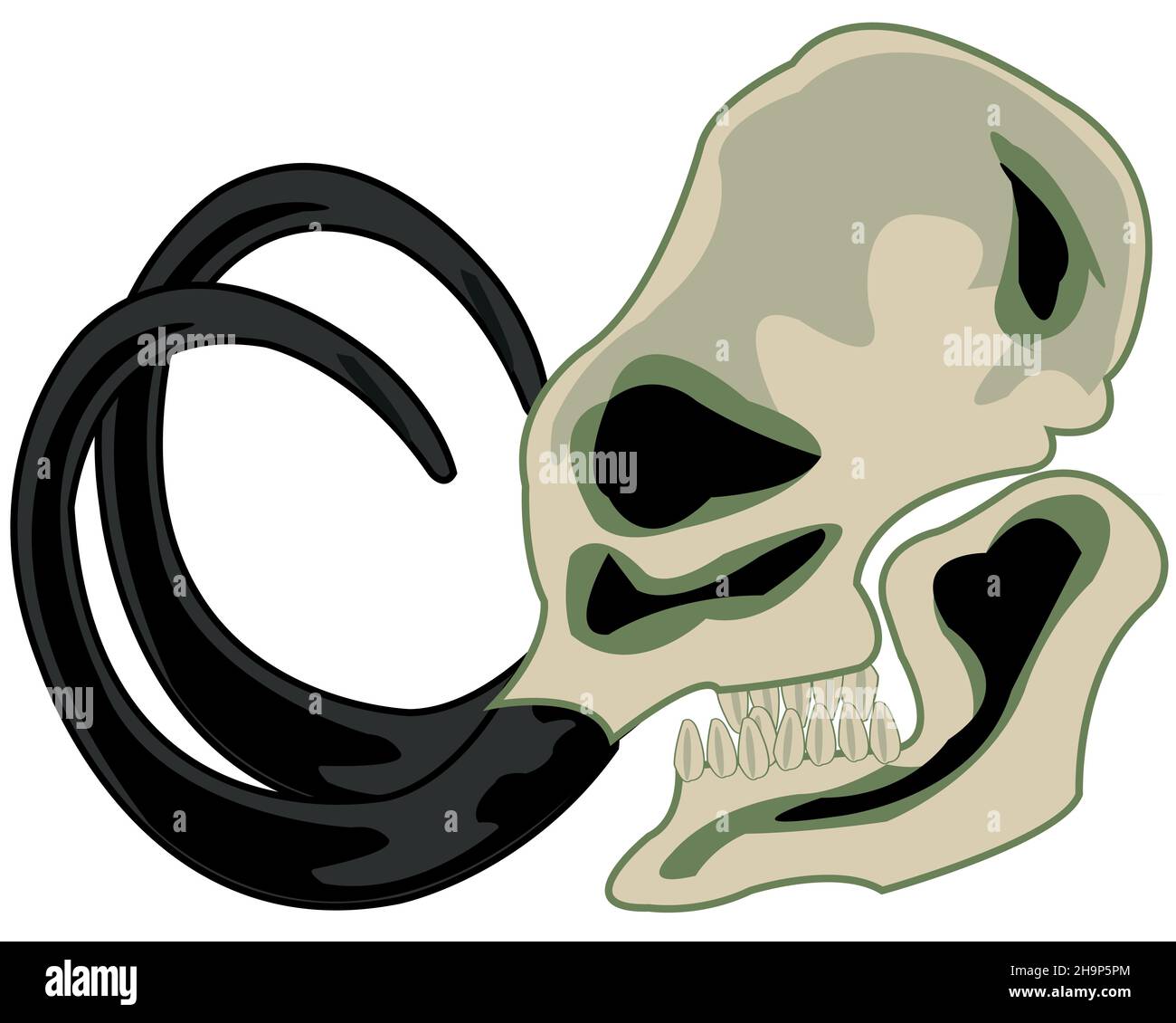 Skull fossilized animal mammoth on white background is insulated Stock ...