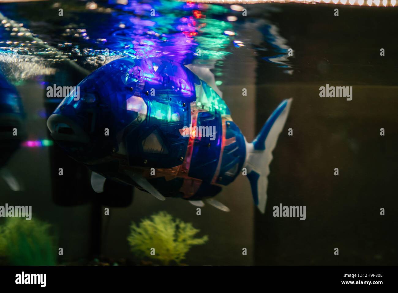 Partially blurred blue glowing large robot fish swimming underwater in ...