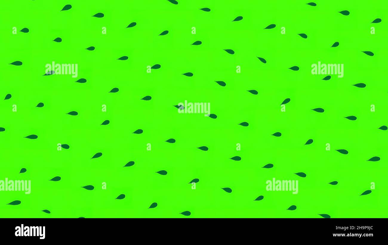 Seamless loop animation. Abstract colorful pattern of small green ...