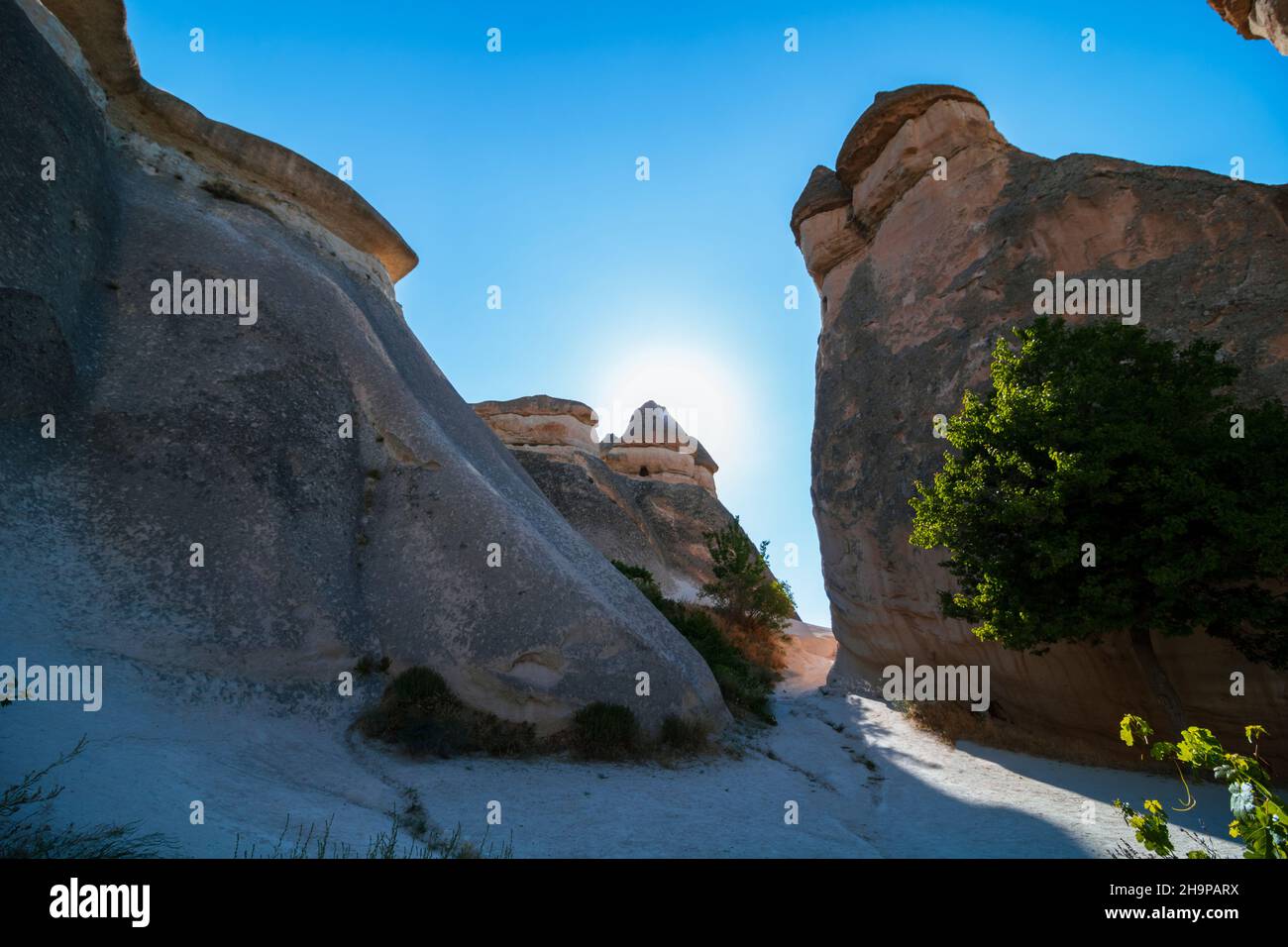 Fairy chimneys. Fairy chimneys and sun on the background. Pasabagi ...