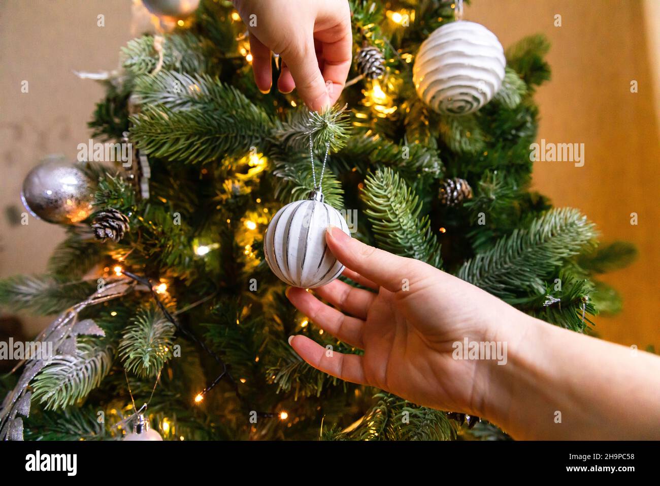 Woman hands decorating Christmas tree. Christmas tree with wite and ...